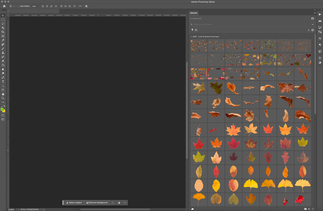How to Create a Library in Photoshop – Ashlyn Mae Photography (formerly ...